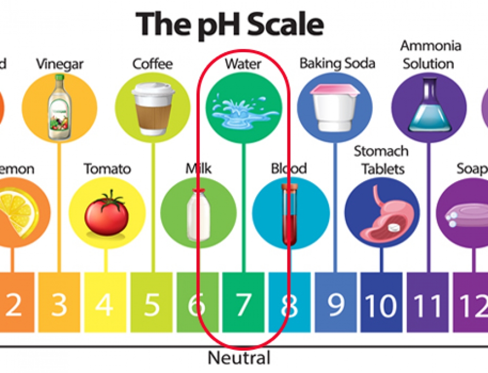 Aquaponics: Maintaining Safe Nitrate Levels | ThatAquaponicsGuy