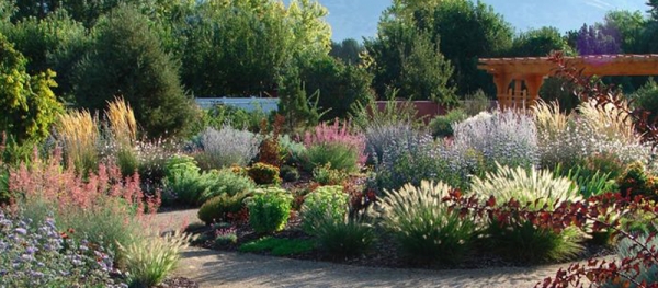 Xeriscaping The Right Way 2025