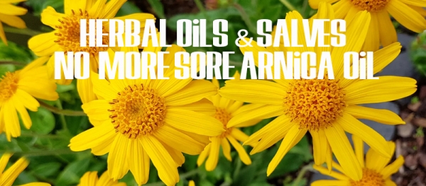 Herbal Oils And Salves - No More Sore Arnica Oil 2025